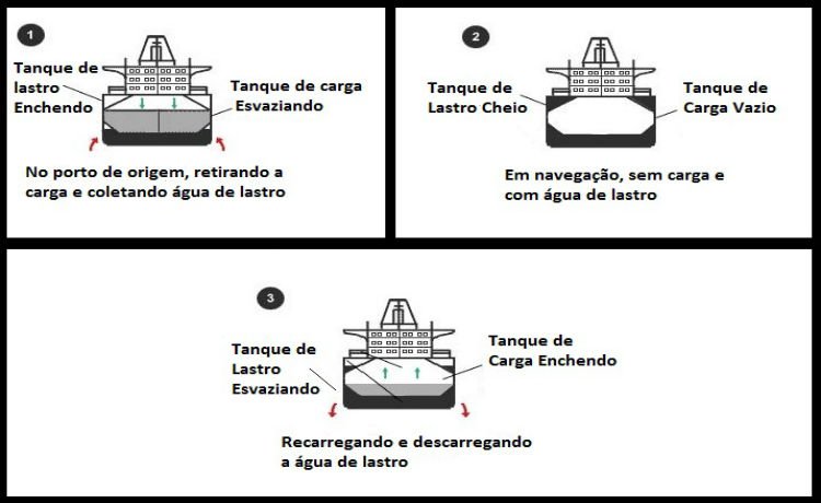 Água de lastro usada por navios pode representar perigo a ecossistemas ...