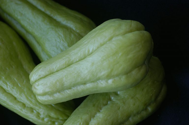 Chuchu: benefícios e receitas inusitadas - eCycle