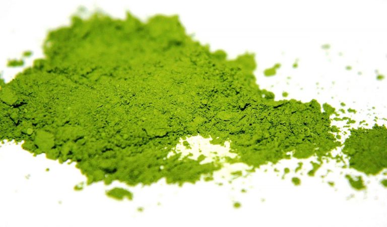 Matcha: saiba 9 benefícios para a saúde - eCycle