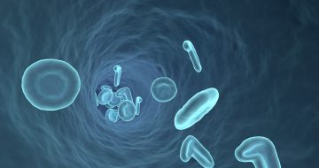 Células-tronco: o que são e principais aplicações - eCycle