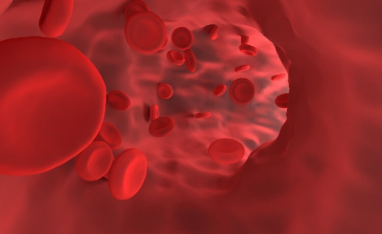 Anemia ferropriva: o que é, causas e sintomas - eCycle