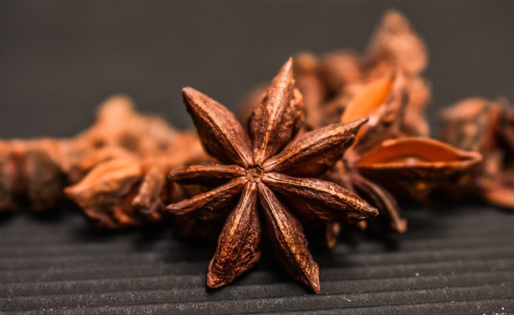 Anis-estrelado: para que serve e benefícios - eCycle