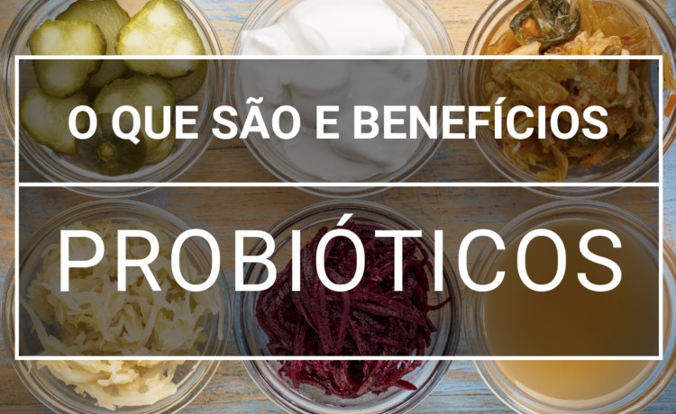 Probióticos: que alimentos são esses? - eCycle