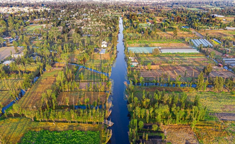 Entenda o que são chinampas e confira exemplos - eCycle
