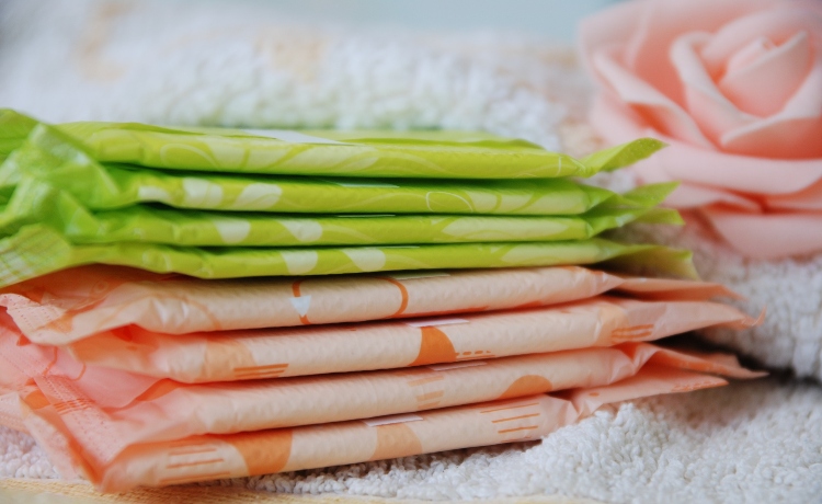 Tipos de absorvente: escolha o seu preferido - eCycle