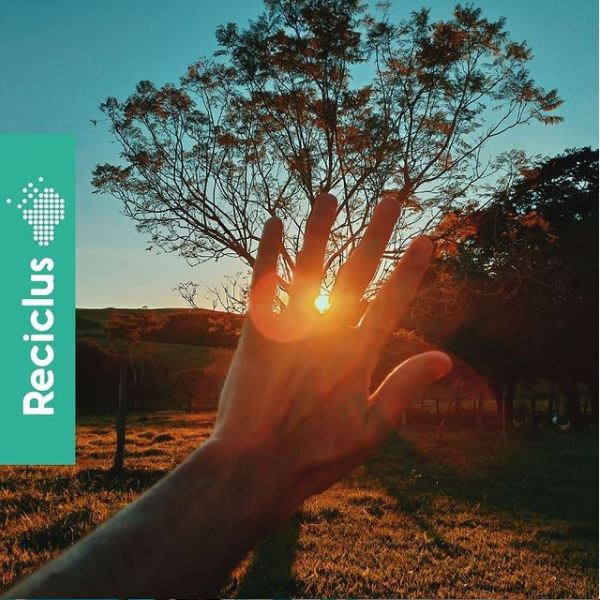 Reciclus: descarte e coleta gratuita de lâmpadas - eCycle