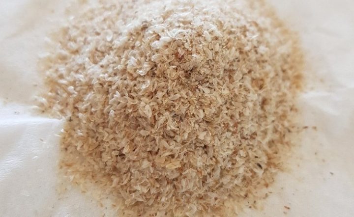 Psyllium: para que serve e como usar a seu favor
