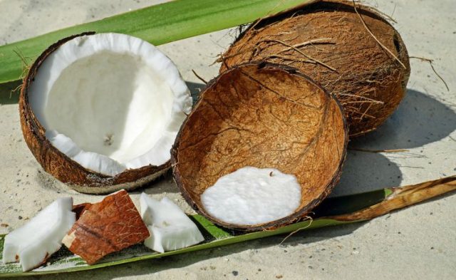 Óleo de coco: benefícios e como usar