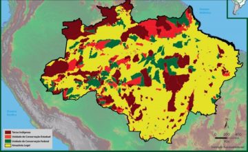 Amazônia Legal: o que é, fatos e importância