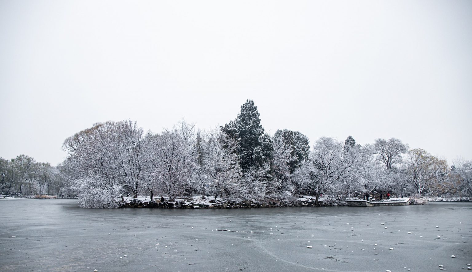 Lago: o que é e qual a sua importância - eCycle