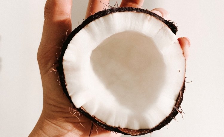 Como fazer leite de coco? - eCycle