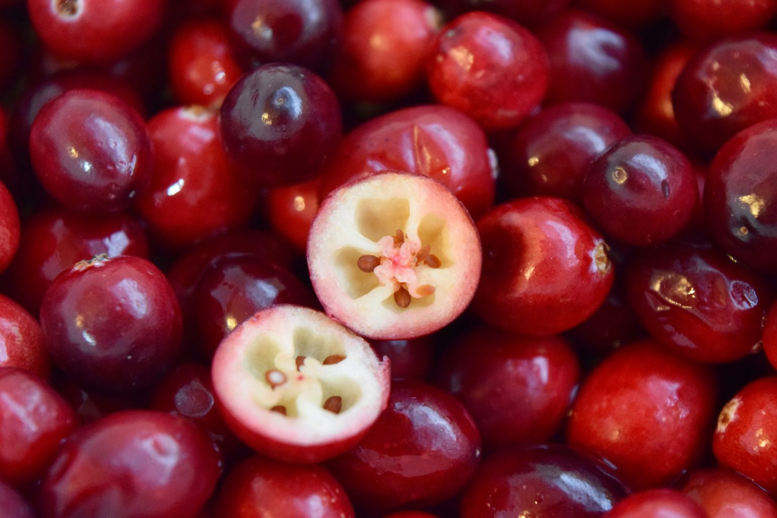 Suco de cranberry: 5 benefícios incríveis - eCycle