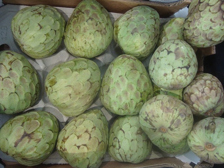 Atemoia: benefícios da fruta para a saúde