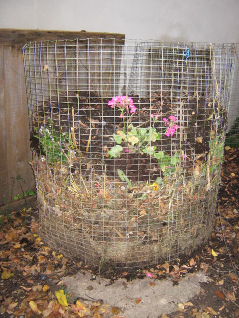 Compostagem em cilindro aerado: Como fazer? - eCycle