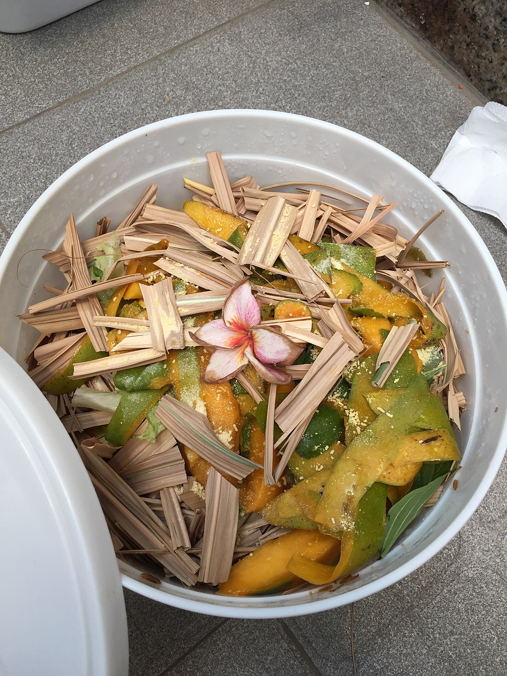 Composteira de balde: como fazer? - eCycle