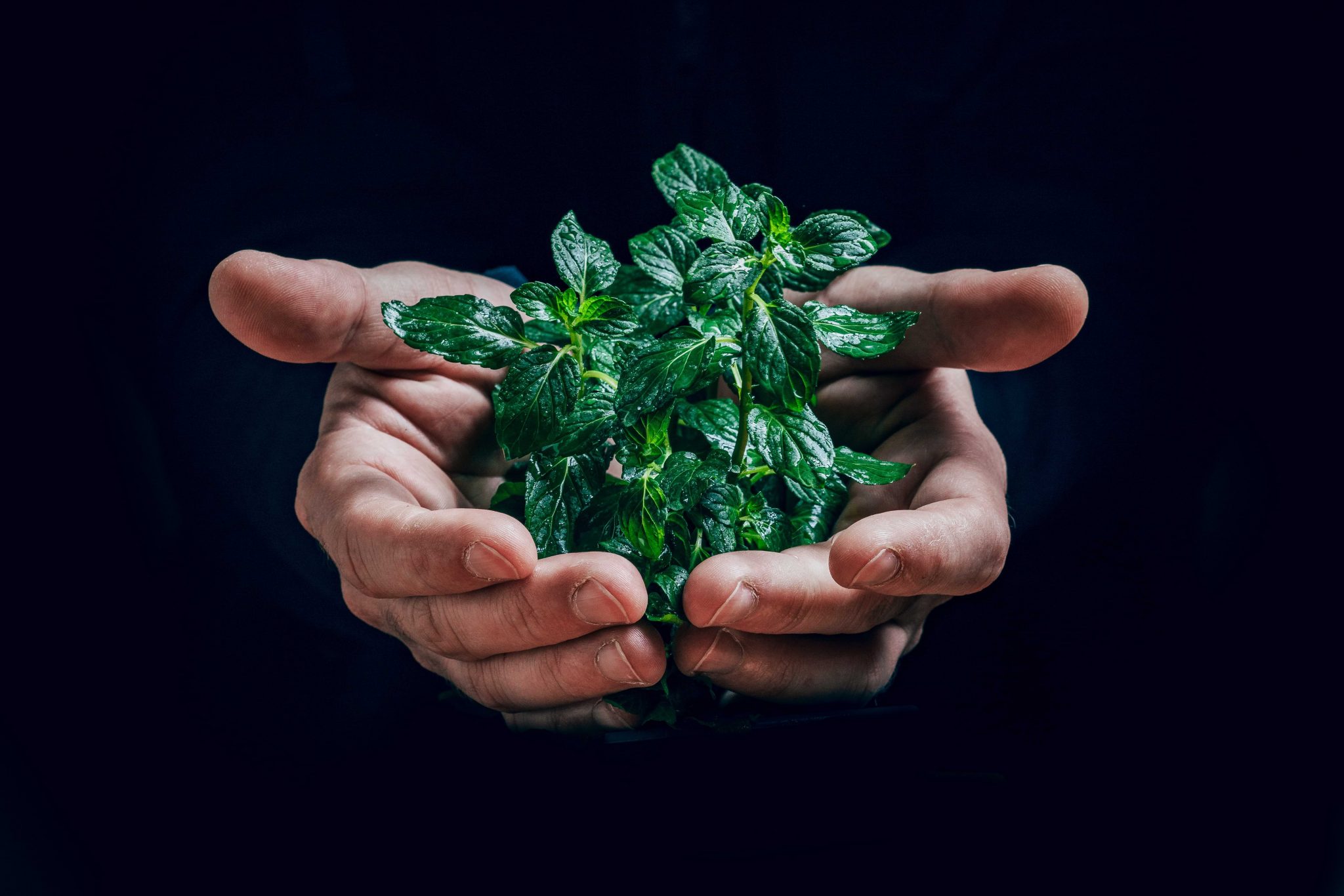 O que é bioética e qual sua importância? - eCycle