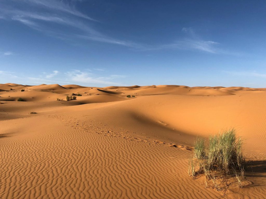 Conheça os grandes desertos do mundo e suas características